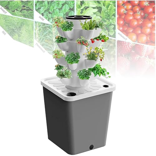 Aeroponics Growing Kit for Herbs, Fruits & Vegetables - Hydroponic ...