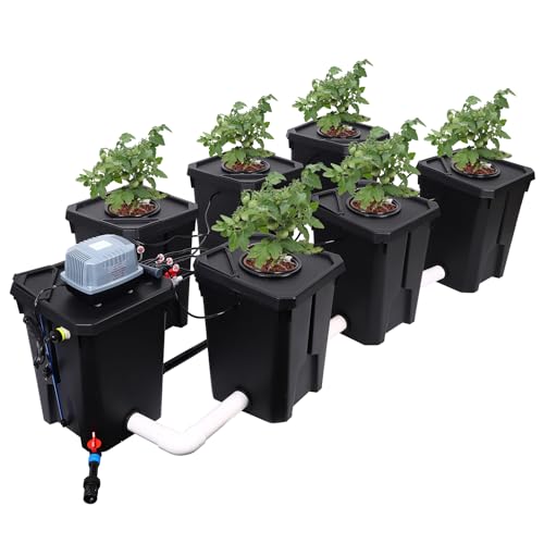 RDWC Hydroponics Grow System 6 Site + Reservoir, 7-Gallon Top Drip Recirculating Deep Water ...
